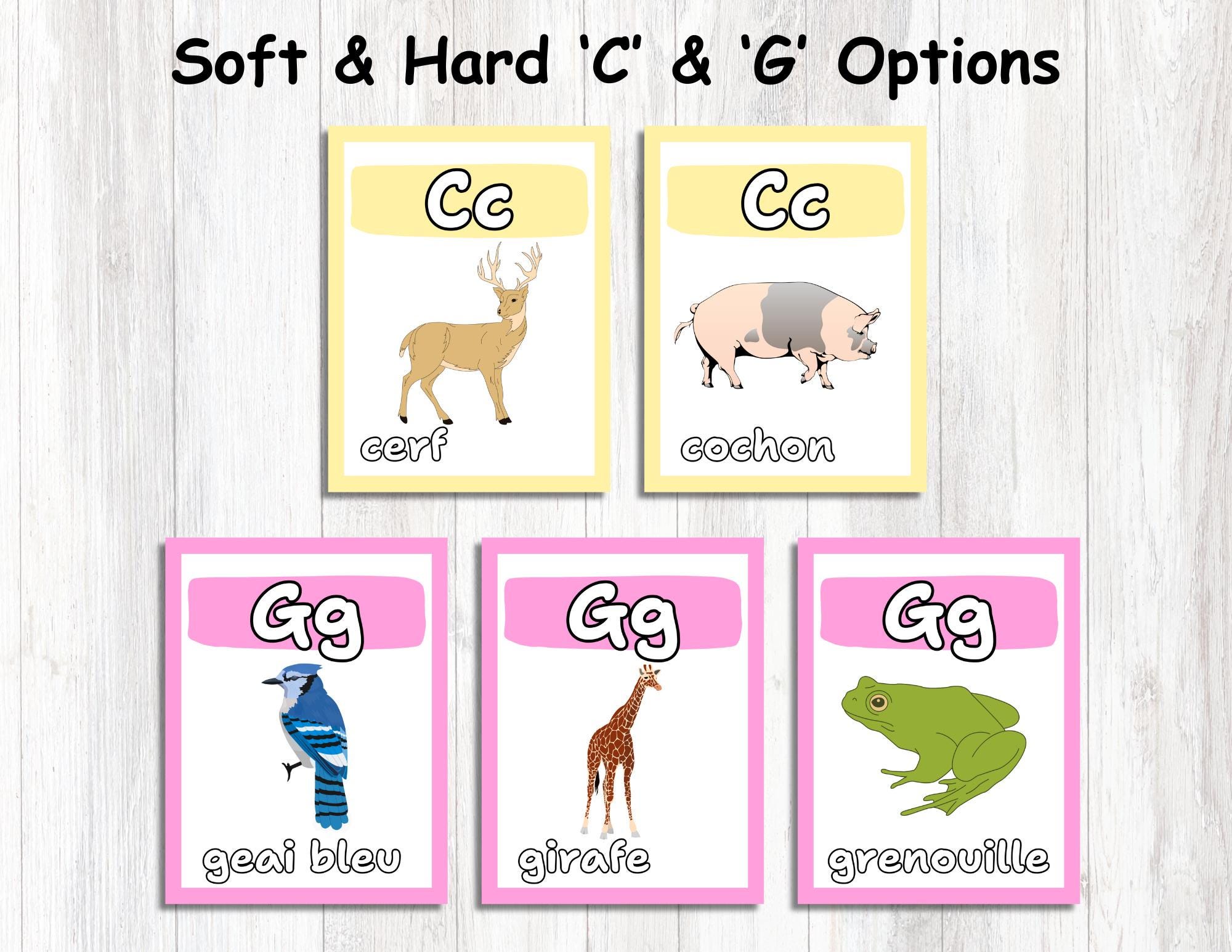 French Animal Alphabet Posters: Core French Classroom Decor (PDF) - Etsy
