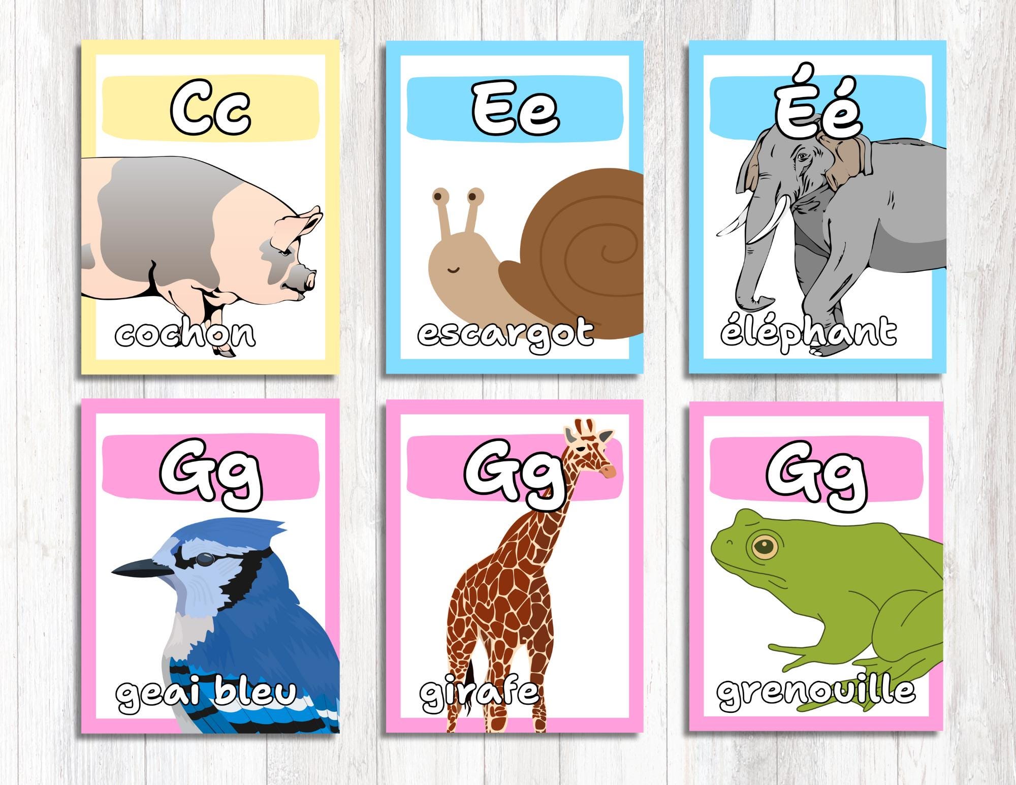 French Animal Alphabet Posters: Core French Classroom Decor (PDF) - Etsy