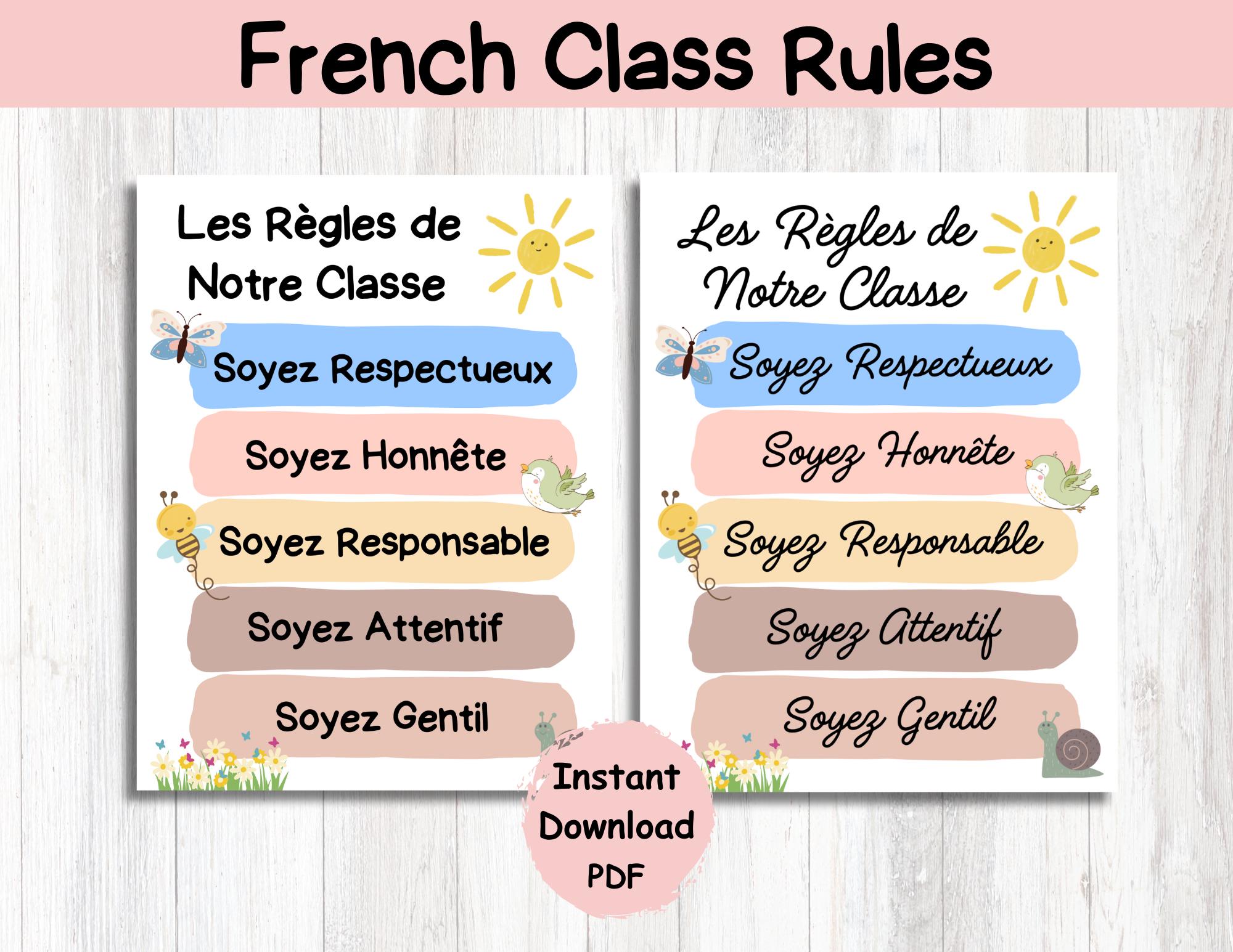 French Class Rules Poster: Pastel Classroom Decor (PDF) - Etsy