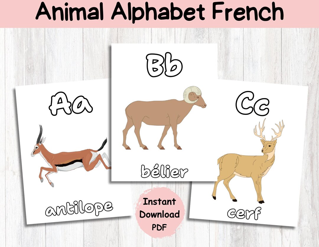 French Animal Alphabet Posterscore French Immersion Classroom ...