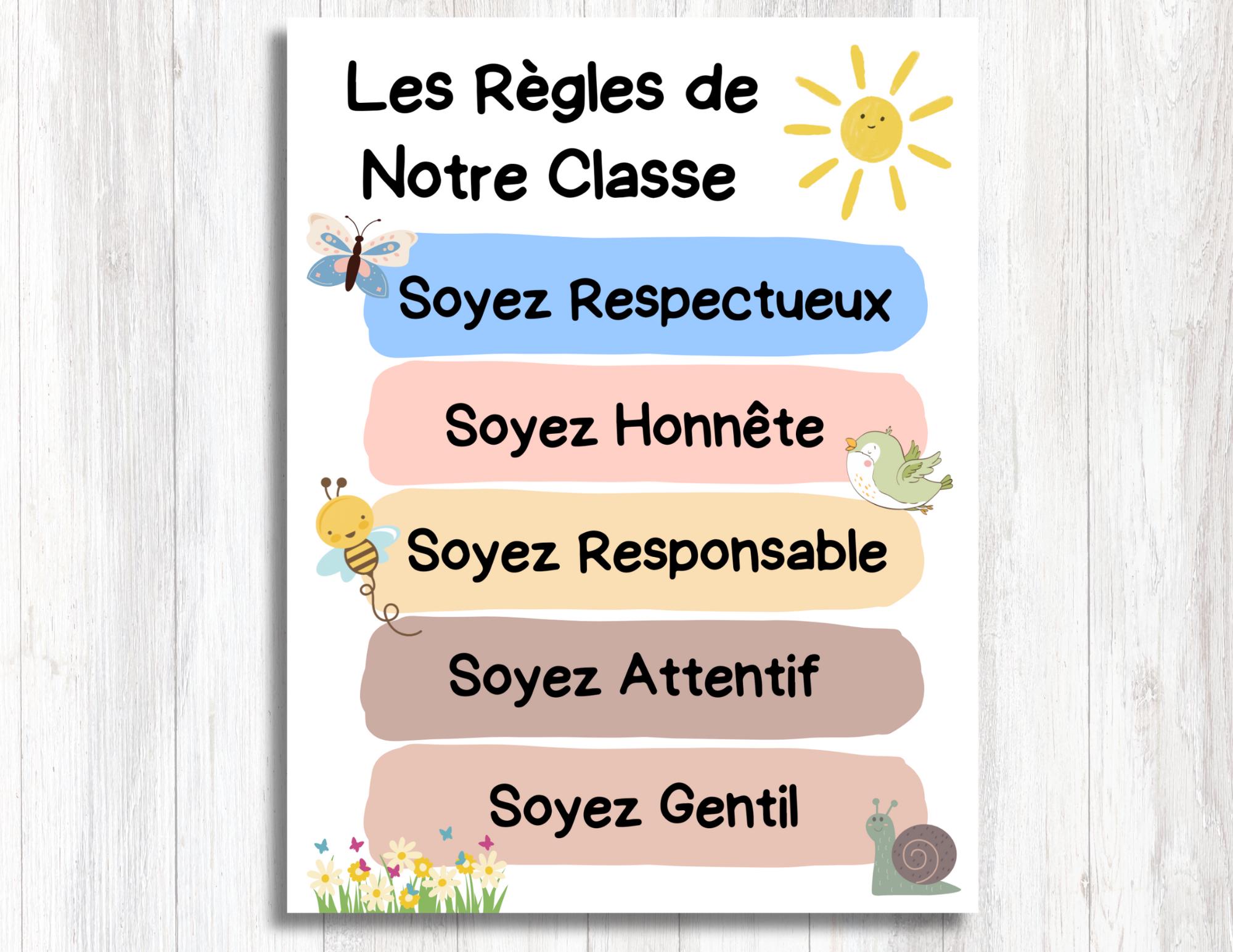 French Class Rules Poster: Pastel Classroom Decor (PDF) - Etsy