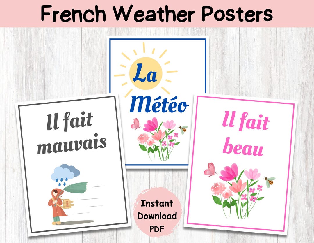 French Weather Posters: Bilingual Classroom Decor (PDF) - Etsy