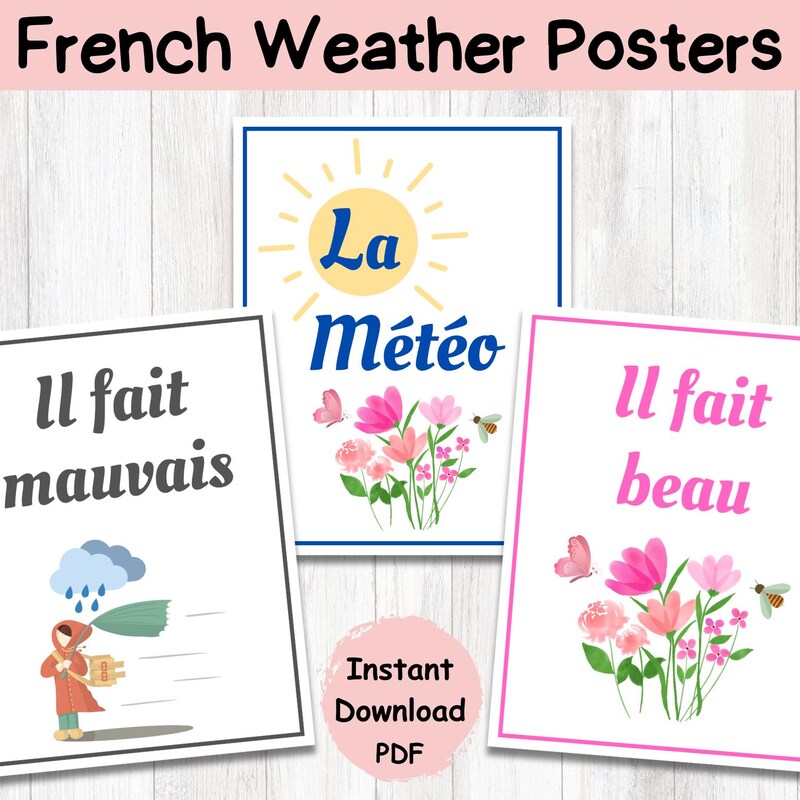 French Language Posters - Etsy