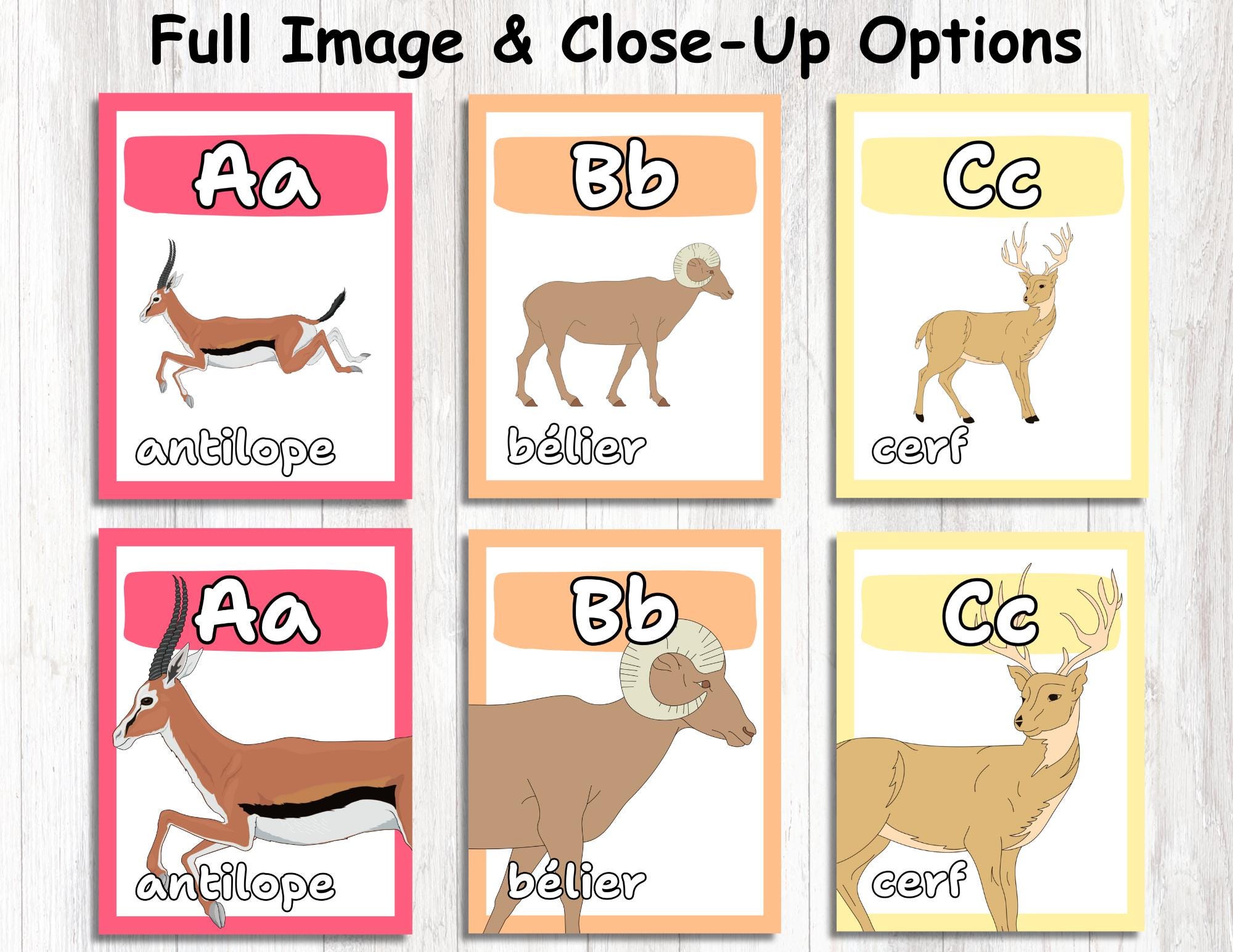French Animal Alphabet Posters: Core French Classroom Decor (PDF) - Etsy