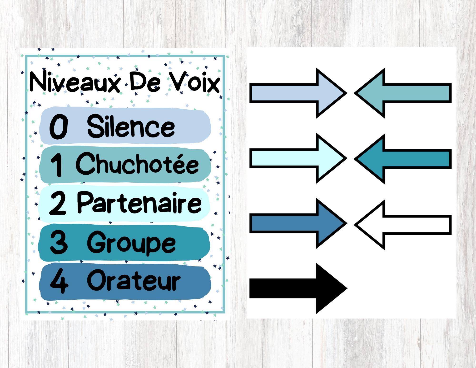 French Voice Levels Chart: Classroom Management Poster (PDF) - Etsy