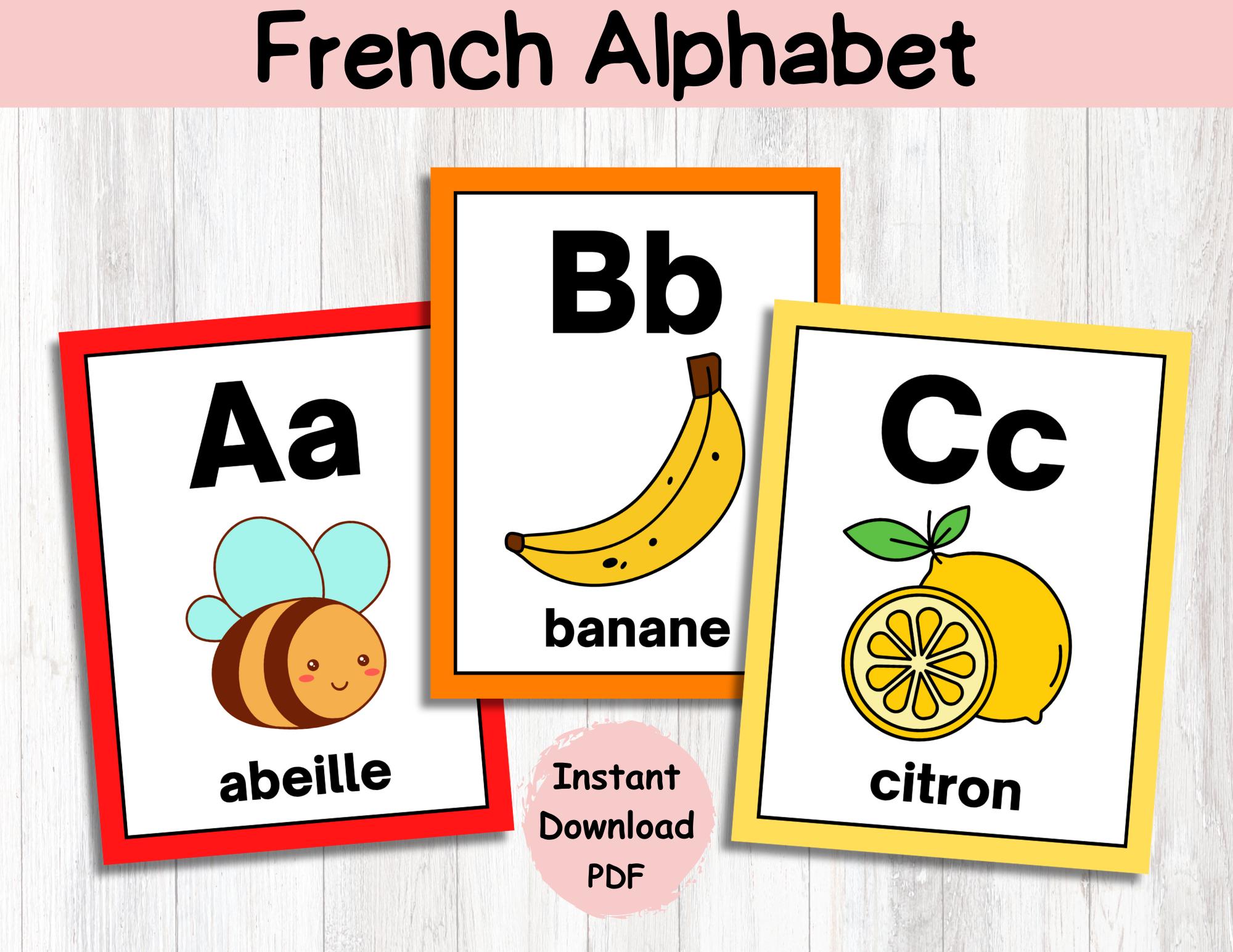 Colorful French Alphabet Posters|core French Immersion Classroom Decor ...