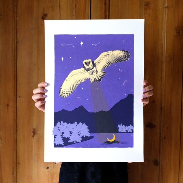 Owl Screen Print - Etsy