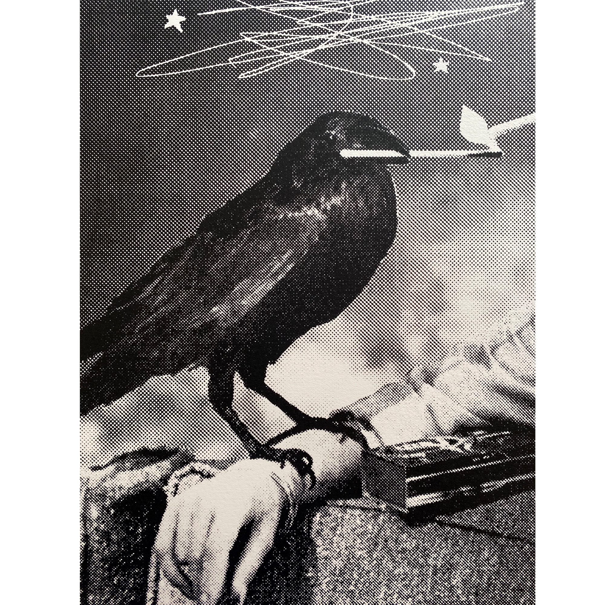 THE BIRDS Screen Print Movie Poster Screen Print Hitchcock Inspired ...