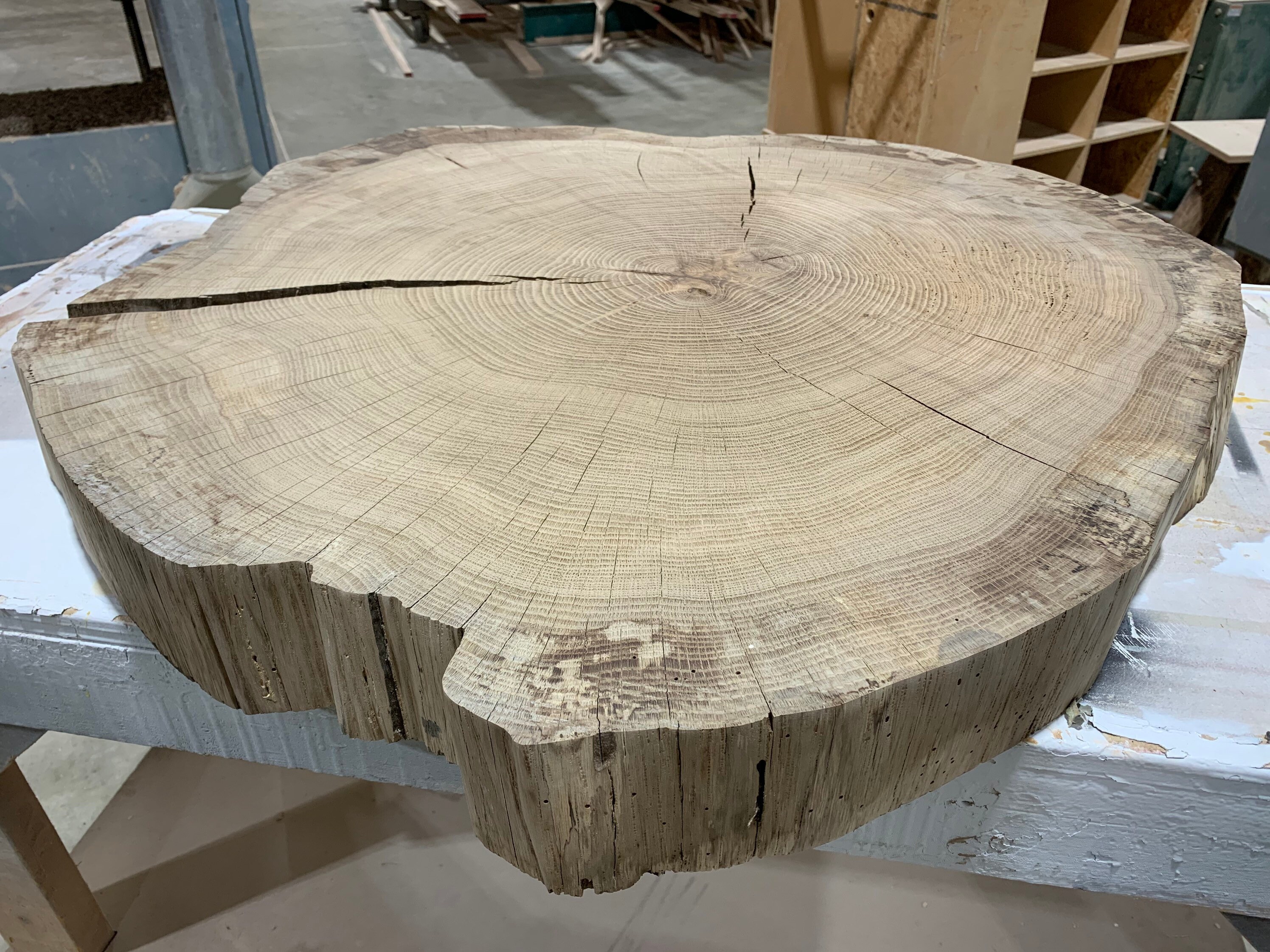 Oak Cookie Slabs - Etsy