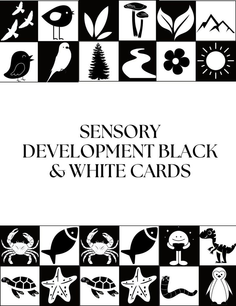 50+ Black and White Sensory Cards for Infants - Etsy