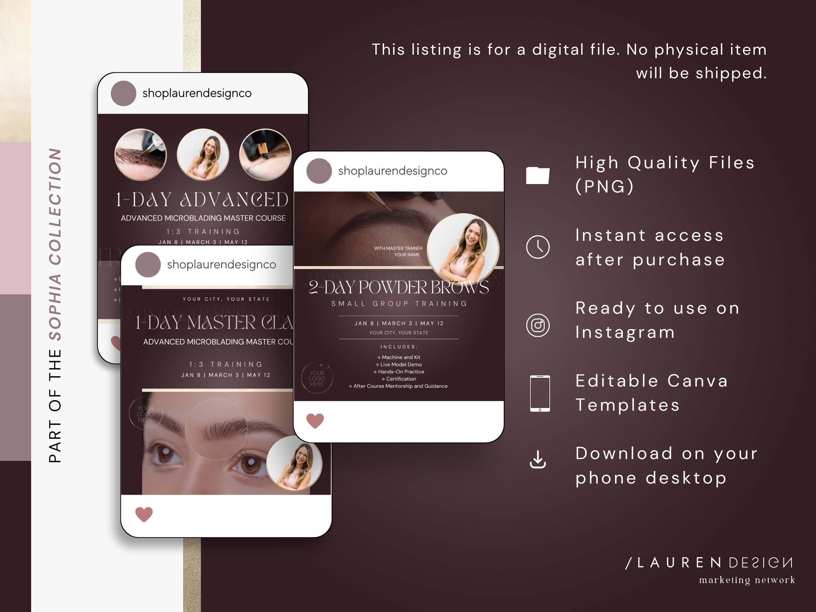 Pmu Course Flyer Template | Gold Instagram Posts | Permanent Makeup