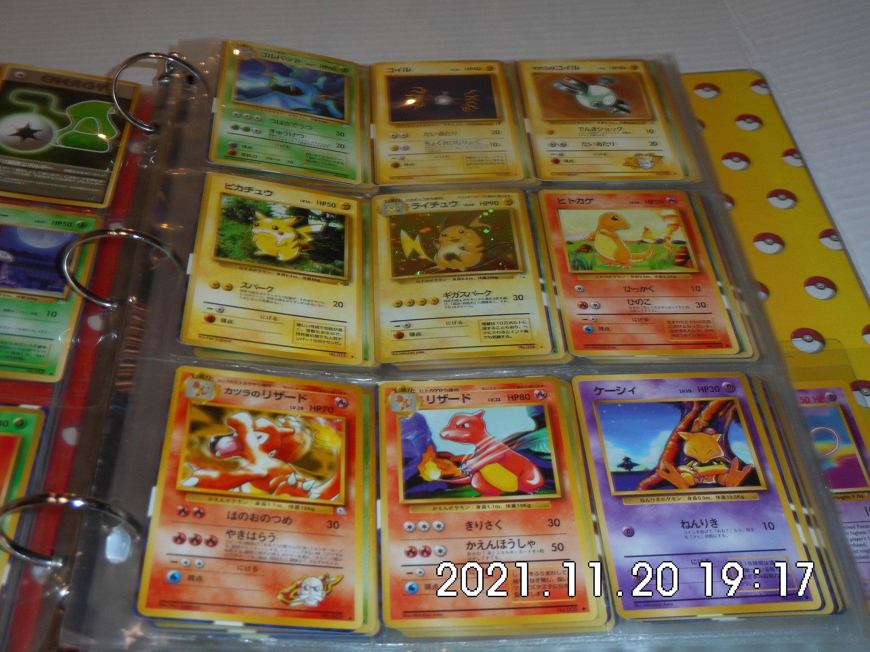 Pokemon Gotta Catch Them All! Binder Card Collection - Etsy