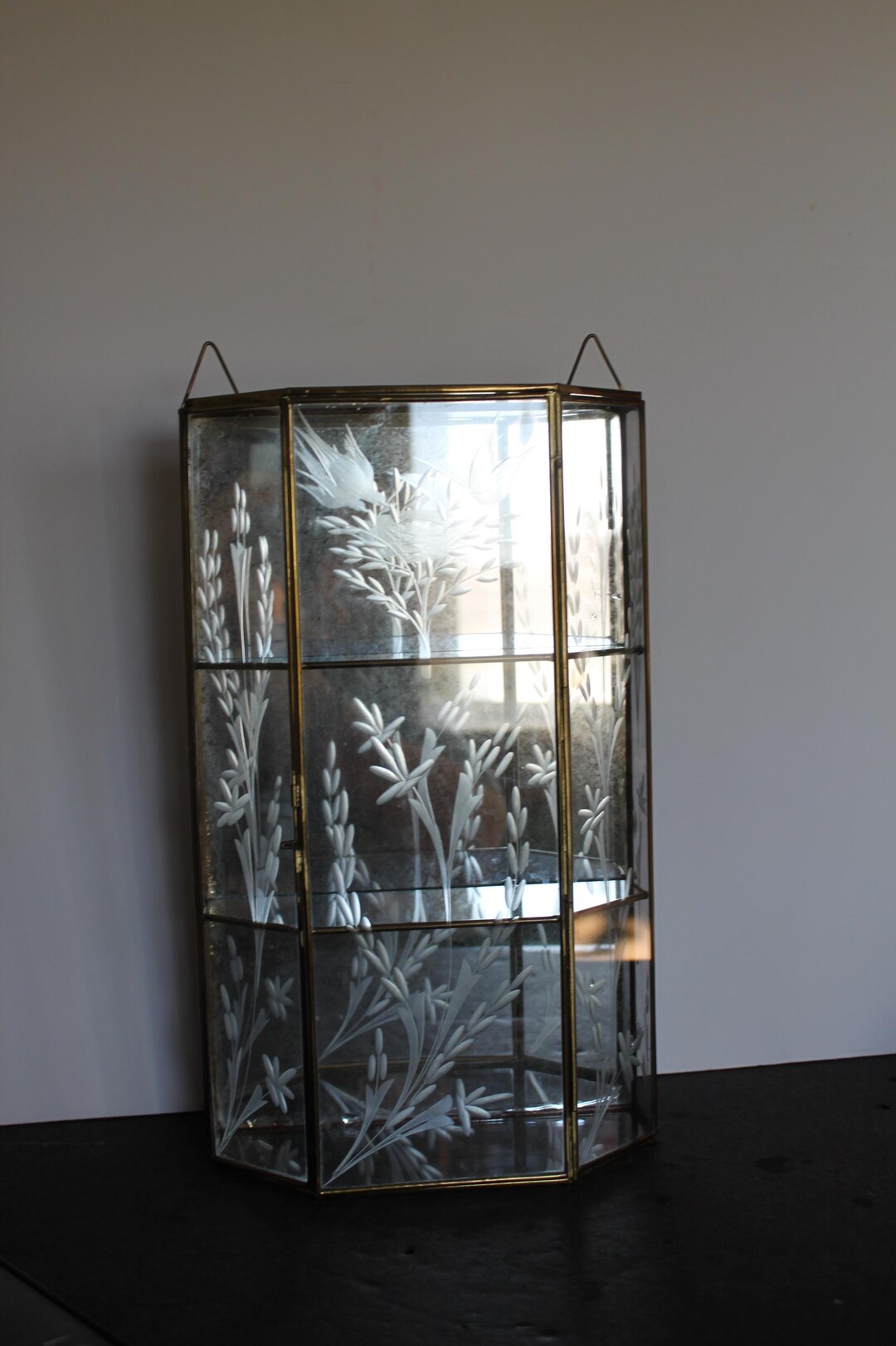 Vintage Brass & Glass Display Case. Wall Hanging, 6 Sides, Etched Leaves, Birds, 3 Shelves ...