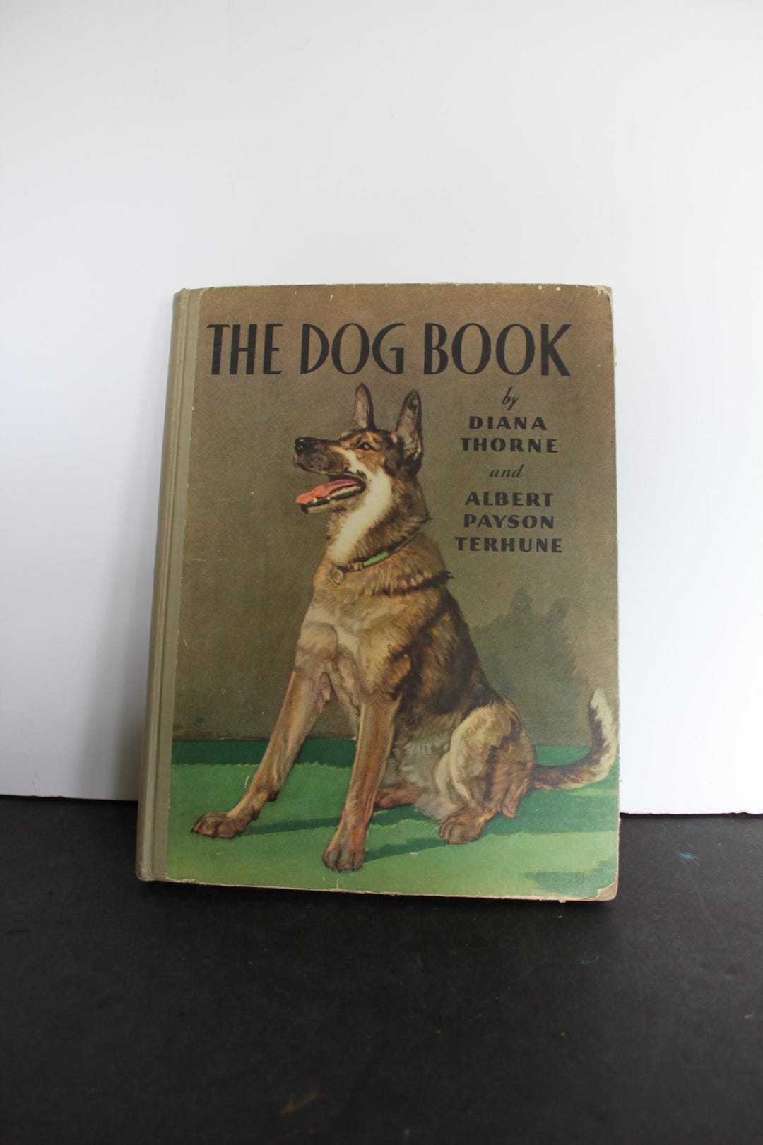 Vintage the Dog Book. Large Picture Book, Hard Cover, 1932, Saalfield Publishing, Diana Thorn ...