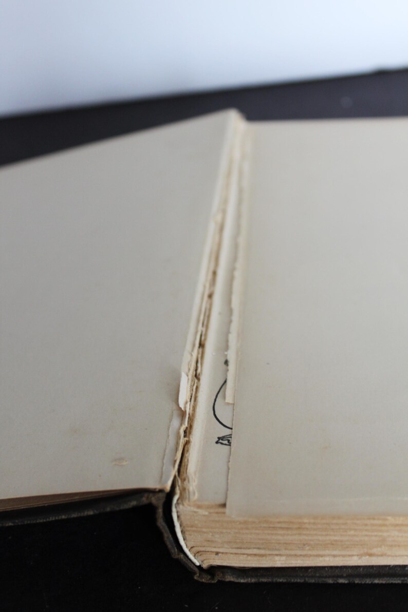 Vintage 1925 Peter Pan and Wendy Hard Cover Book. Antique, James M ...
