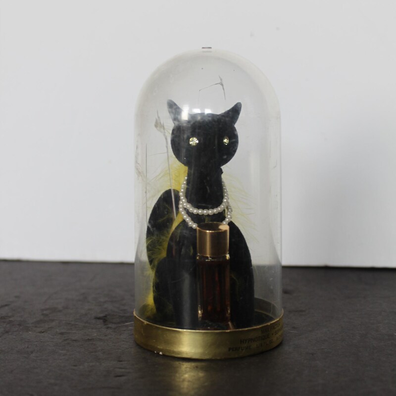 Cat Perfume - Etsy