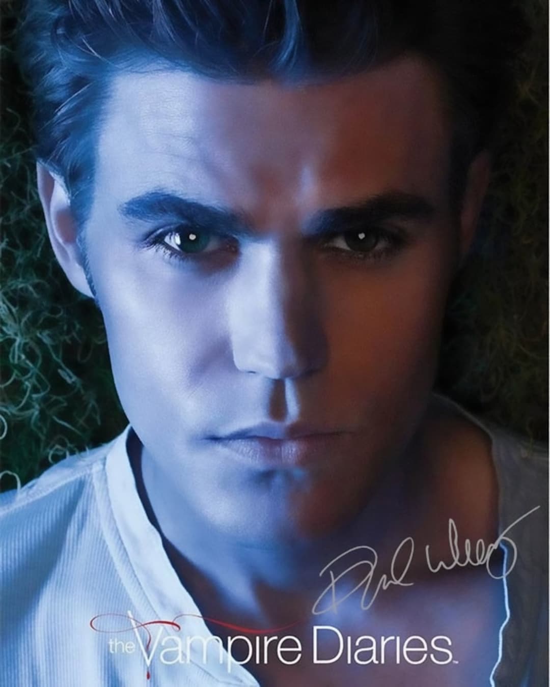 The Vampire Diaries Damon Salvatore Paul Wesley Autograph Reprint Photo ...
