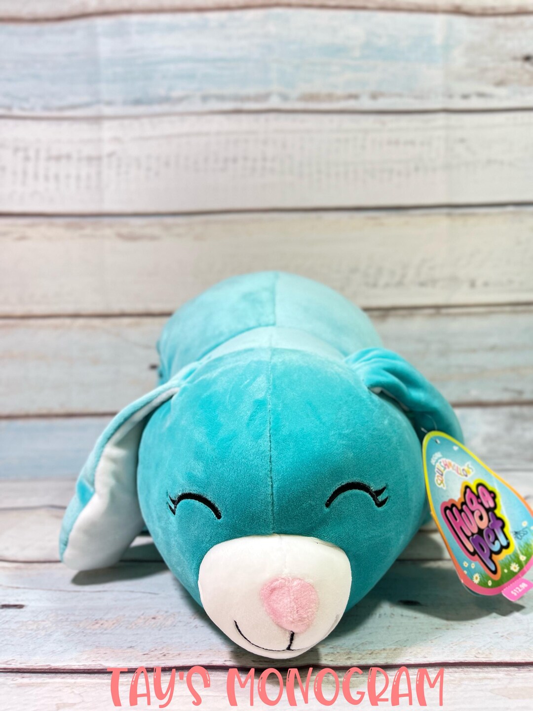 Hugme Series 2: Lorna the Bunny Plushie Set Personalization Plushie ...