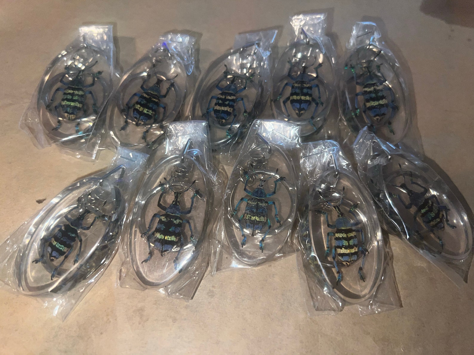 Taxidermy Insect Specimen Keychains Real Insects Bugs Arachnids Lucite ...