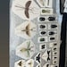 Assorted Bugs Insects Specimen Wholesale Mix Lot Bulk - Etsy UK