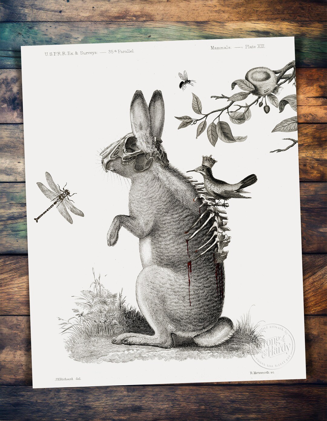 On a Wing and a Hare Print - Etsy