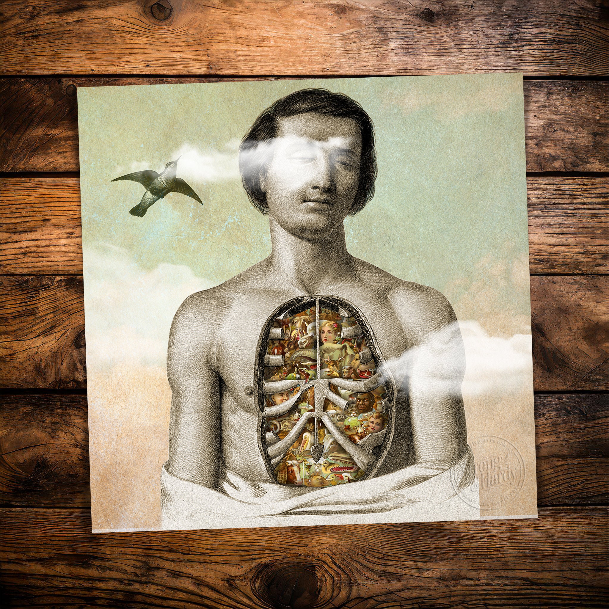 Trunk Dissection Print - Etsy