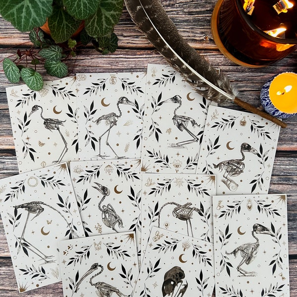 Buy Pluck Cards Online In India - Etsy India