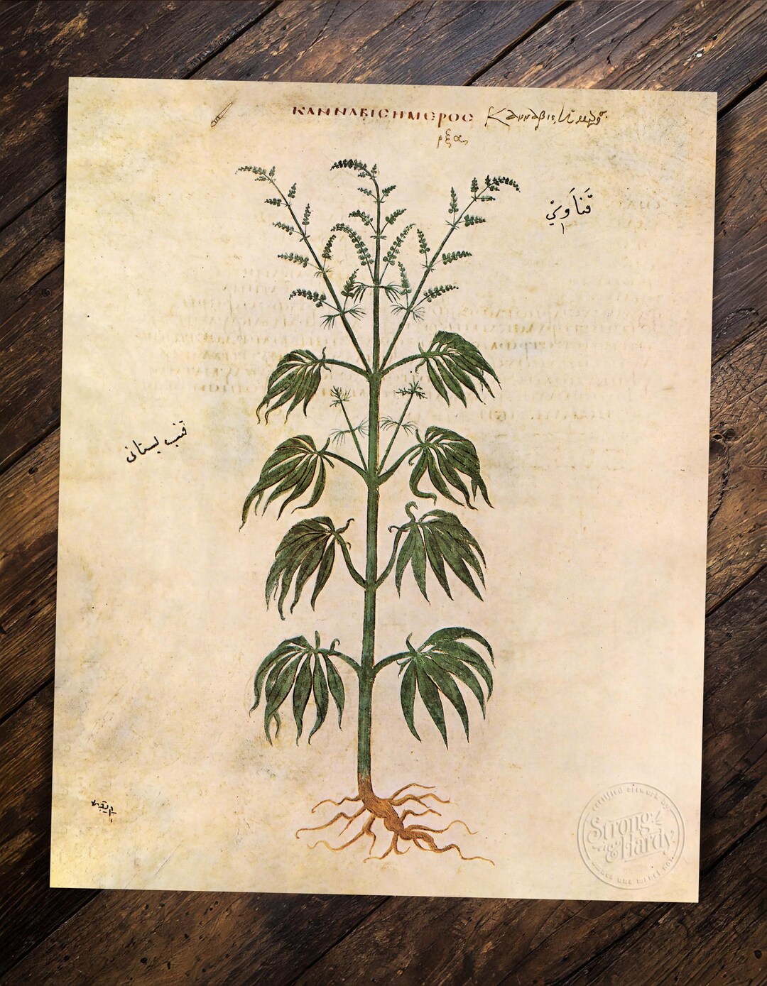 Gebauter Hanf (garden Hemp) Restored Reproduction Print - Etsy