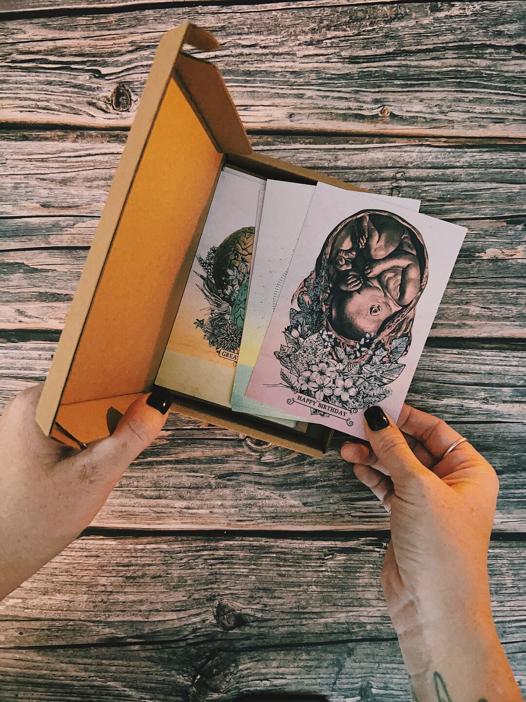 Benediction Dissection Greeting Card Box Set - Etsy