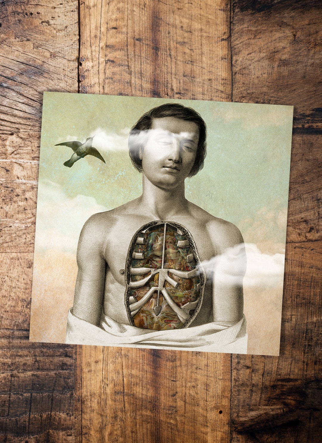 Trunk Dissection Motion Picture Print - Etsy