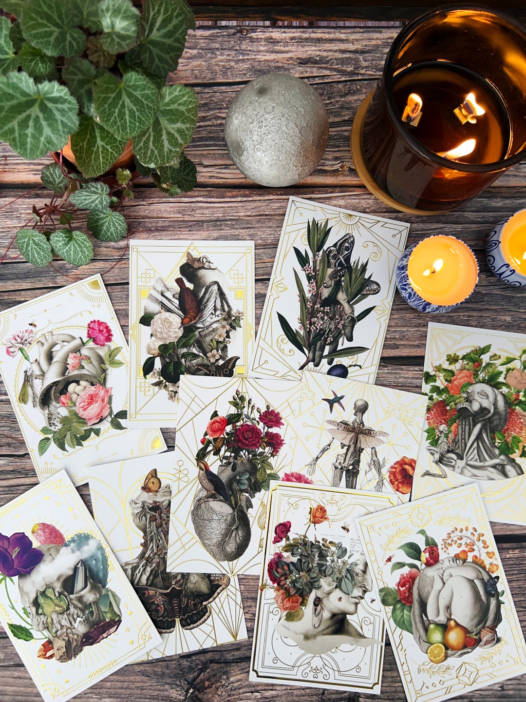 Anatomical Floral Greeting Card Box Set - Etsy