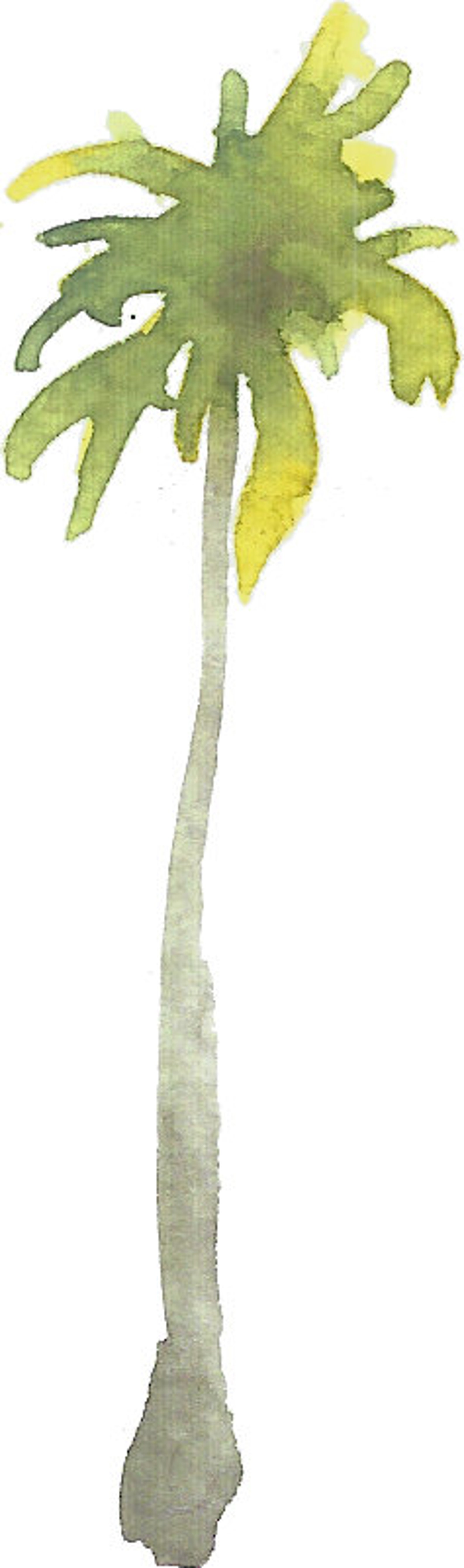 Hand Painted Watercolor Palm Tree Clipart 7 PNG Transparent Background ...