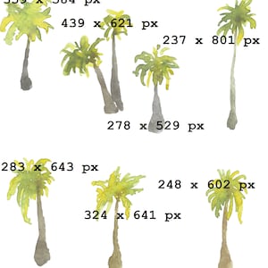 Hand Painted Watercolor Palm Tree Clipart 7 PNG Transparent Background ...