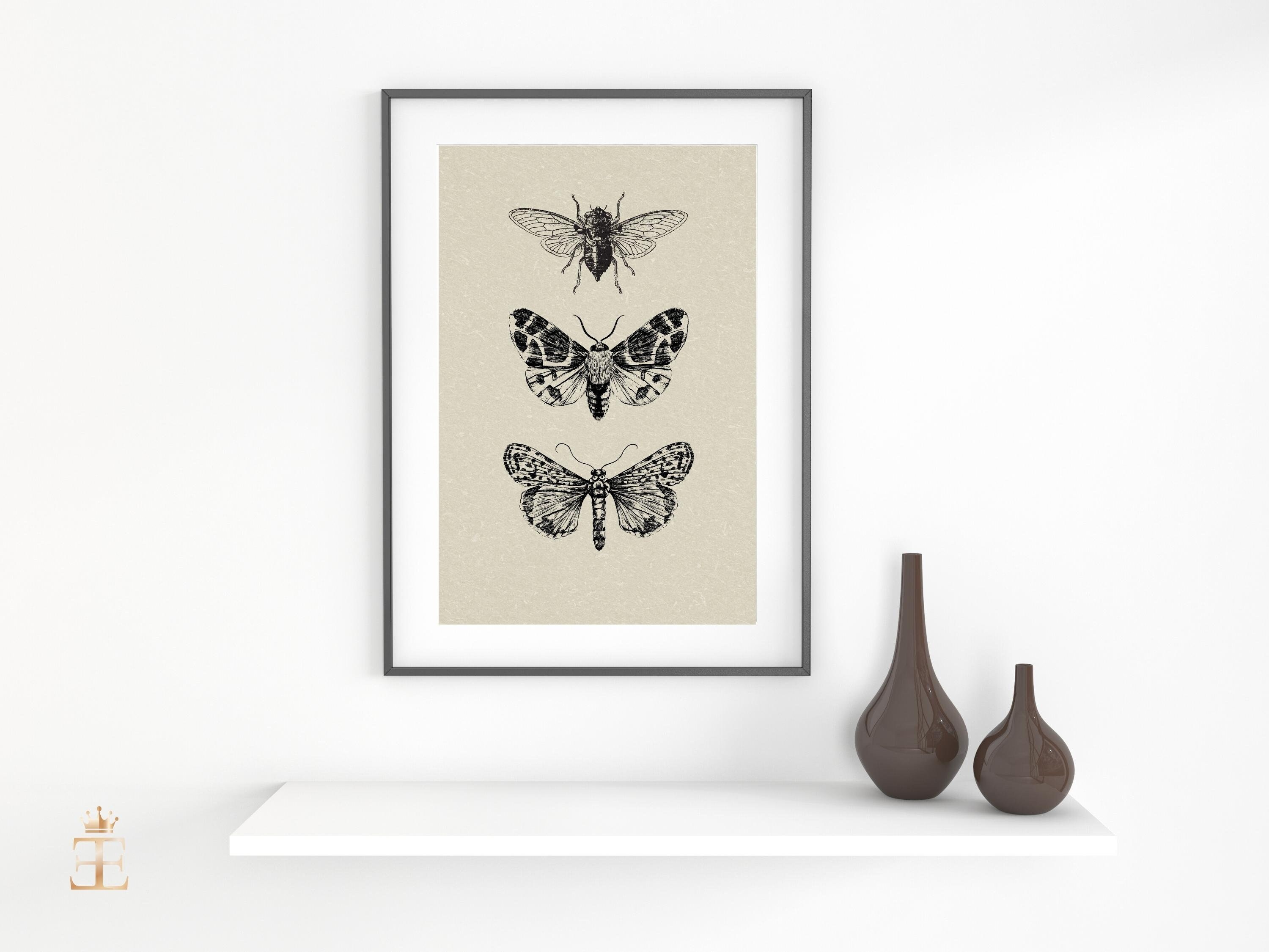 Vintage Insect Printables, Set of Six Printables, Moth Printable ...