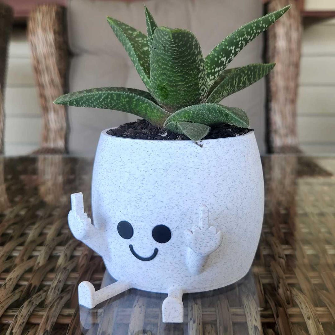 Cute Face Middlefinger Plant Pot Smiling Succulent Planter Ceramic ...