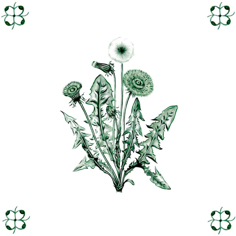Delft Green Ceramic Tile- Dandelion︱bathroom Tile, Splashback, Kitchen ...