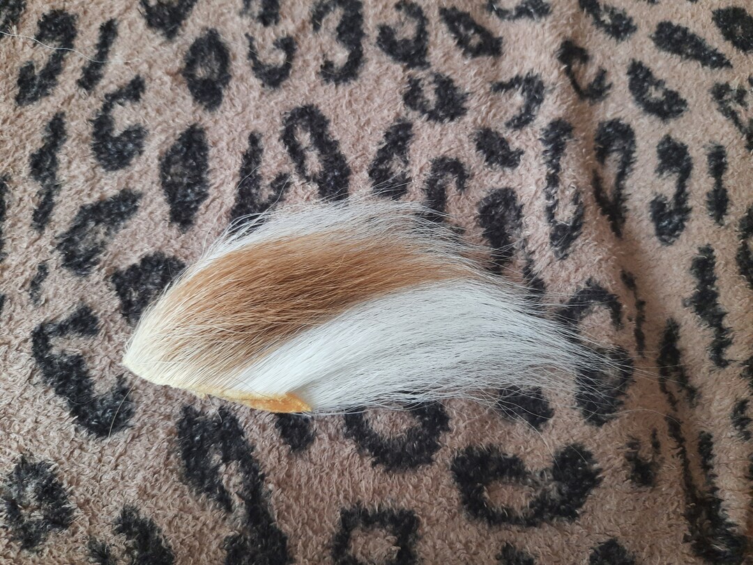 Natural Red Deer Tail Hair bucktail - Etsy