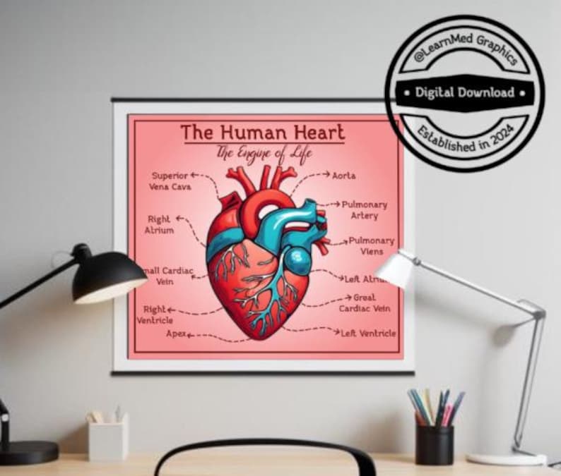 Human Heart Diagram Printable Poster | Wall, Office and Classroom Decor ...