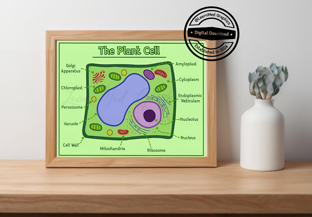 Plant Cell Art Print | Science Wall Art Download | Educational Biology ...