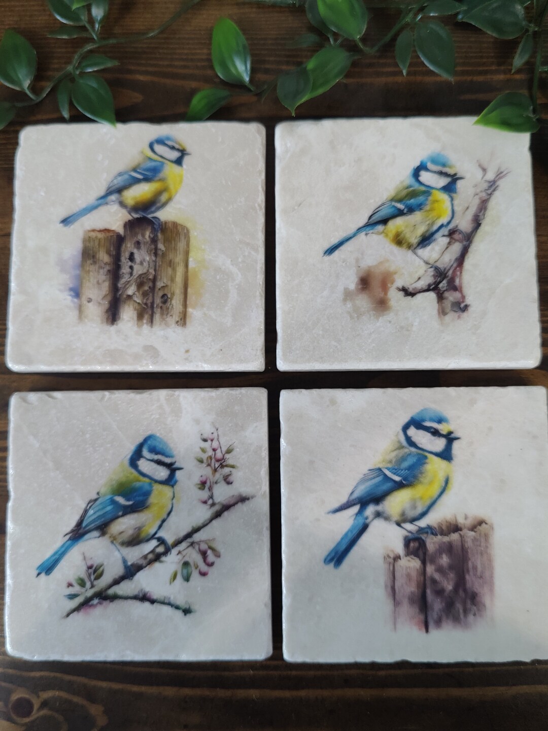 Bluetit Rustic Set of Marble Coasters, British Garden Birds Gift Idea ...