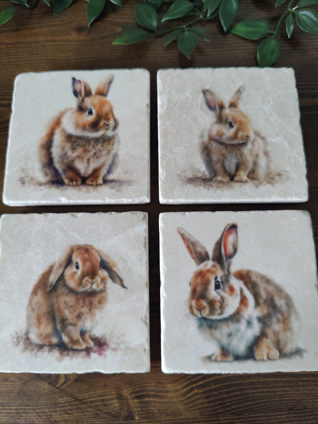 Rabbit Drinks Coasters, Coffee Table Coasters, Bunny Rabbit Gift Lop ...