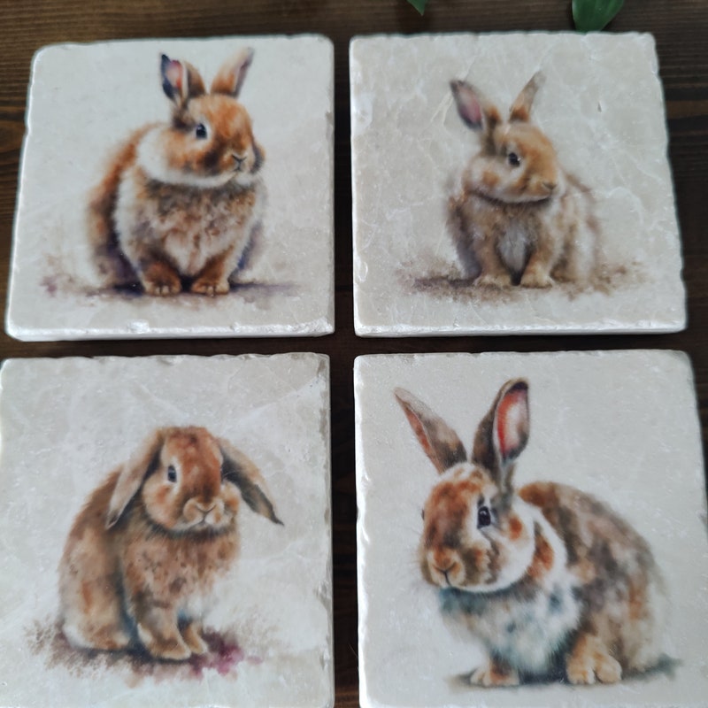 Rabbit Gifts - 60+ Gift Ideas for 2025