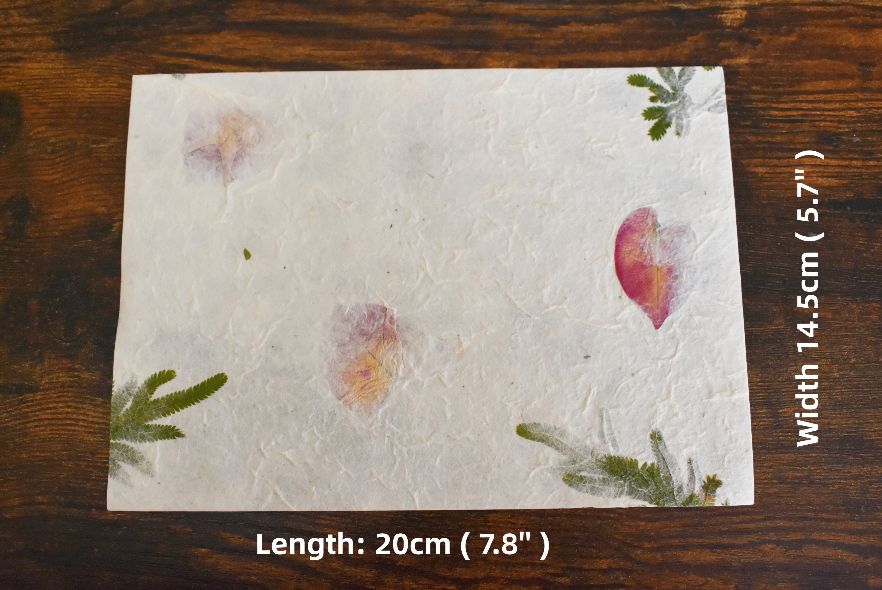 Handmade Natural Textures Paper, Botanical Handmade Paper, Mulberry ...