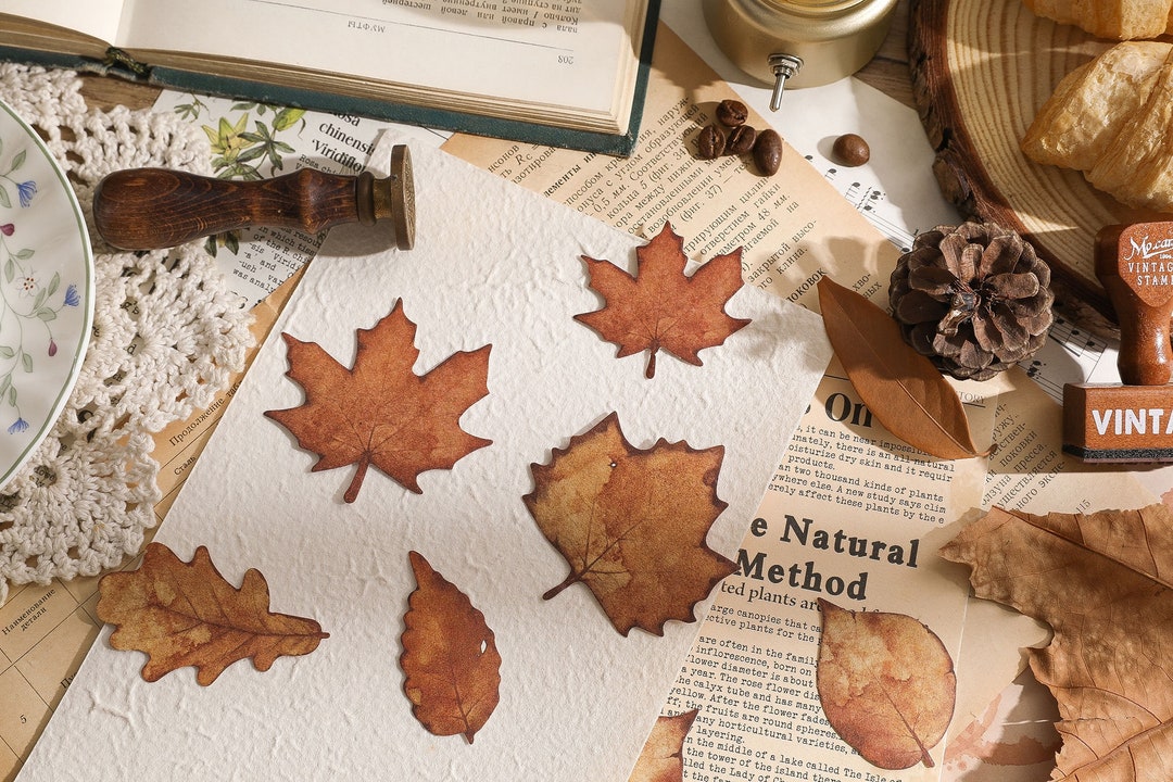 Mini Retro Distressed Sticker Pack for Scrapbook Collage Junk Journal ...