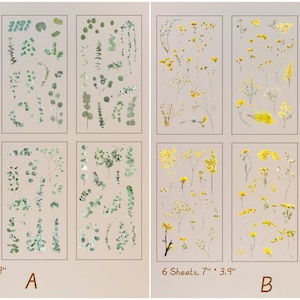 6 Sheets of Various Types of Flower Stickers Pack, Floral Themed ...