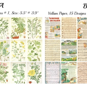 Vintage Style Vellum Paper Pack, Assorted Pattern Decorative Paper for ...