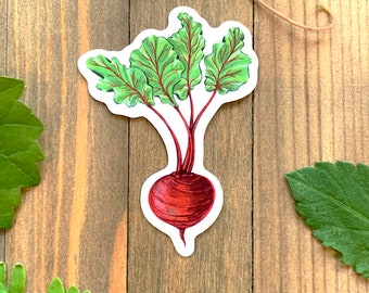 Beet Sticker - Etsy