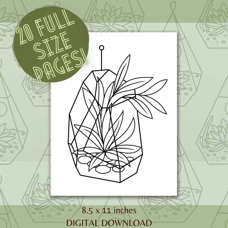 Botanical Series: Terrarium Plants Coloring Pages Set of 20 Printable ...