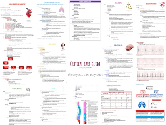 Learning & School Nursing Critical Care Study Guide Bundle Toys etna.com.pe