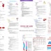 Critical Care Study Guide Bundle - Nursing - Etsy